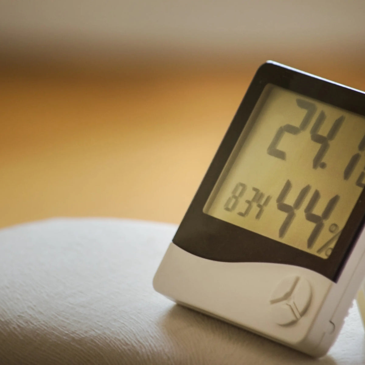 How to Manage Low Humidity in Your Hydroponic System – Monster Gardens