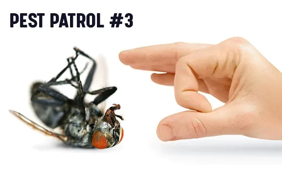 Pest Patrol - Part 3: Elimination and Restoration – Monster Gardens