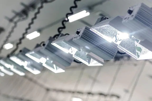 The Importance of Light Uniformity through Luxx Lighting – Monster Gardens