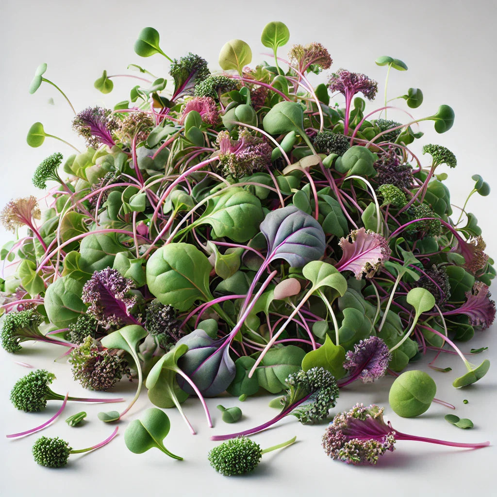 Kalefetti Mix Kale Microgreens Seeds with Grow Mat | Colorful, Mild ...