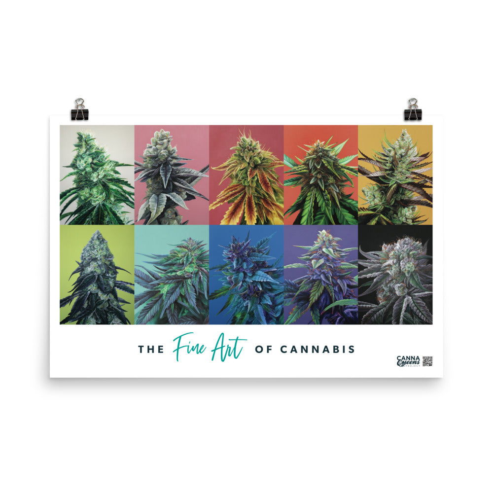 Cannabis Strain Art Collection Poster 36x24" Featuring 10 Strains ...