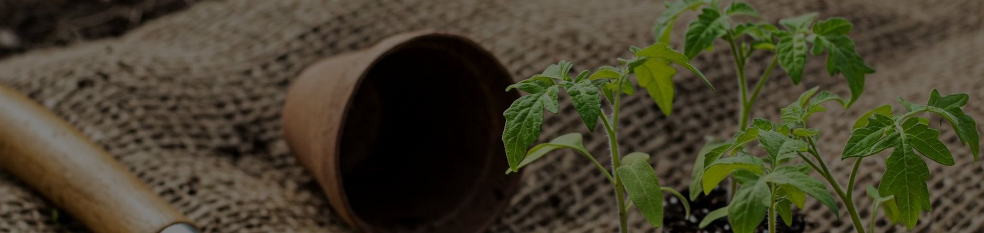 Shop All Categories – Monster Gardens